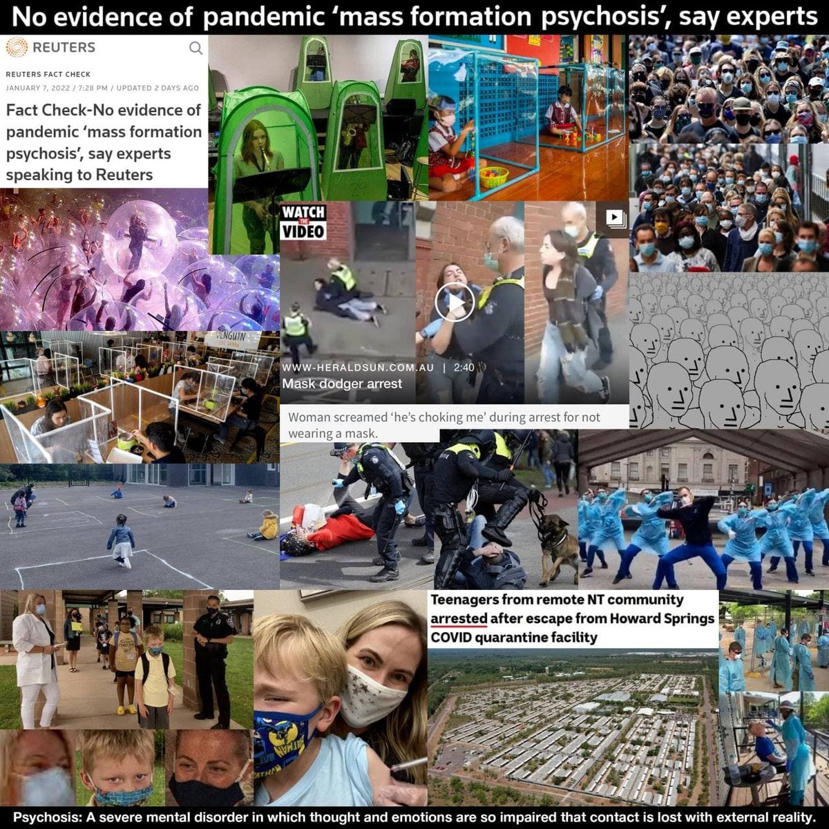 "No evidence of mass formation psychosis", fact-checkers say — Rudd-O.com